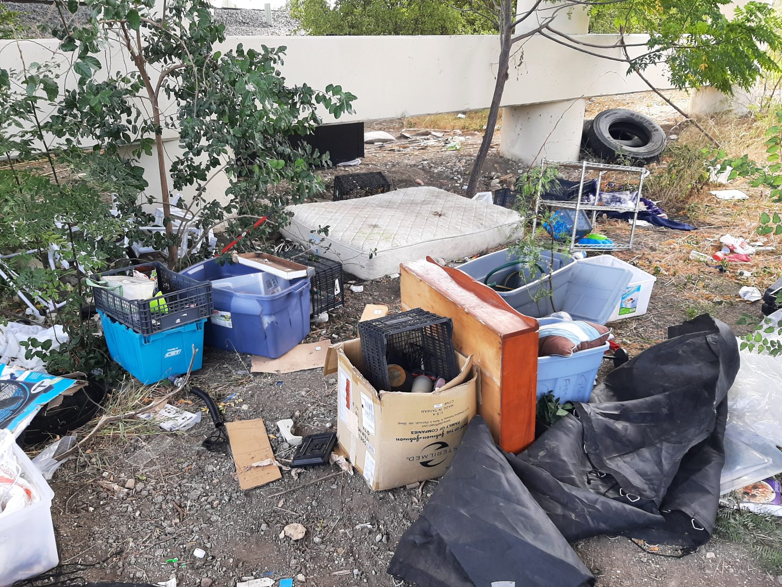 Homeless Rehabilitation - City Problem Solvers